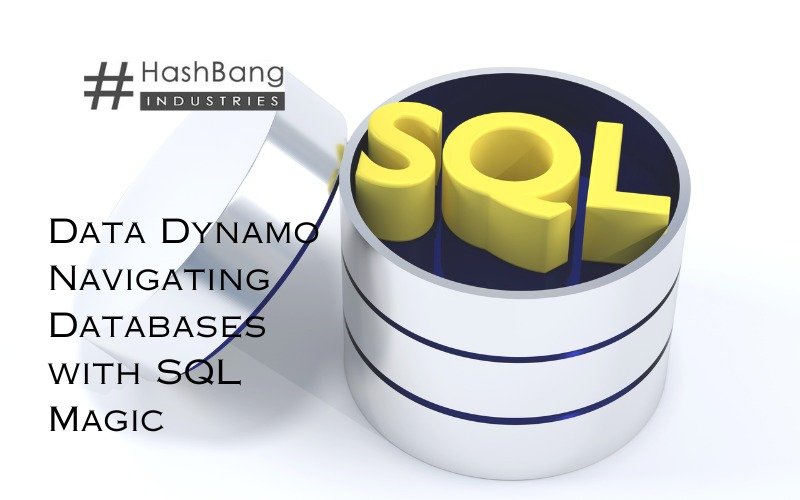 Data Dynamo Navigating Databases With Sql Magic 7686
